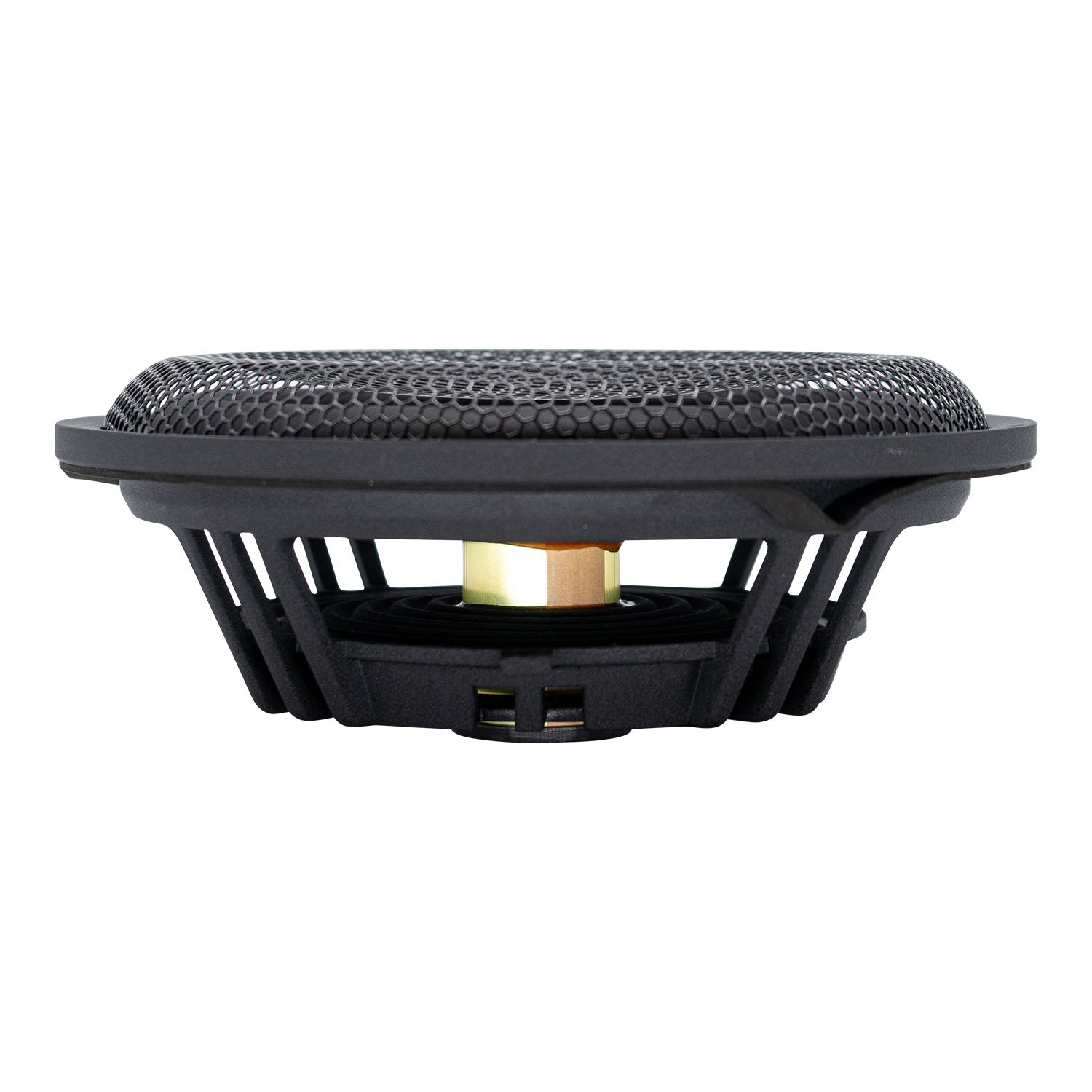 Accuton P220 8'' Passive Radiator with Dark Grey Cones - AudioStatus